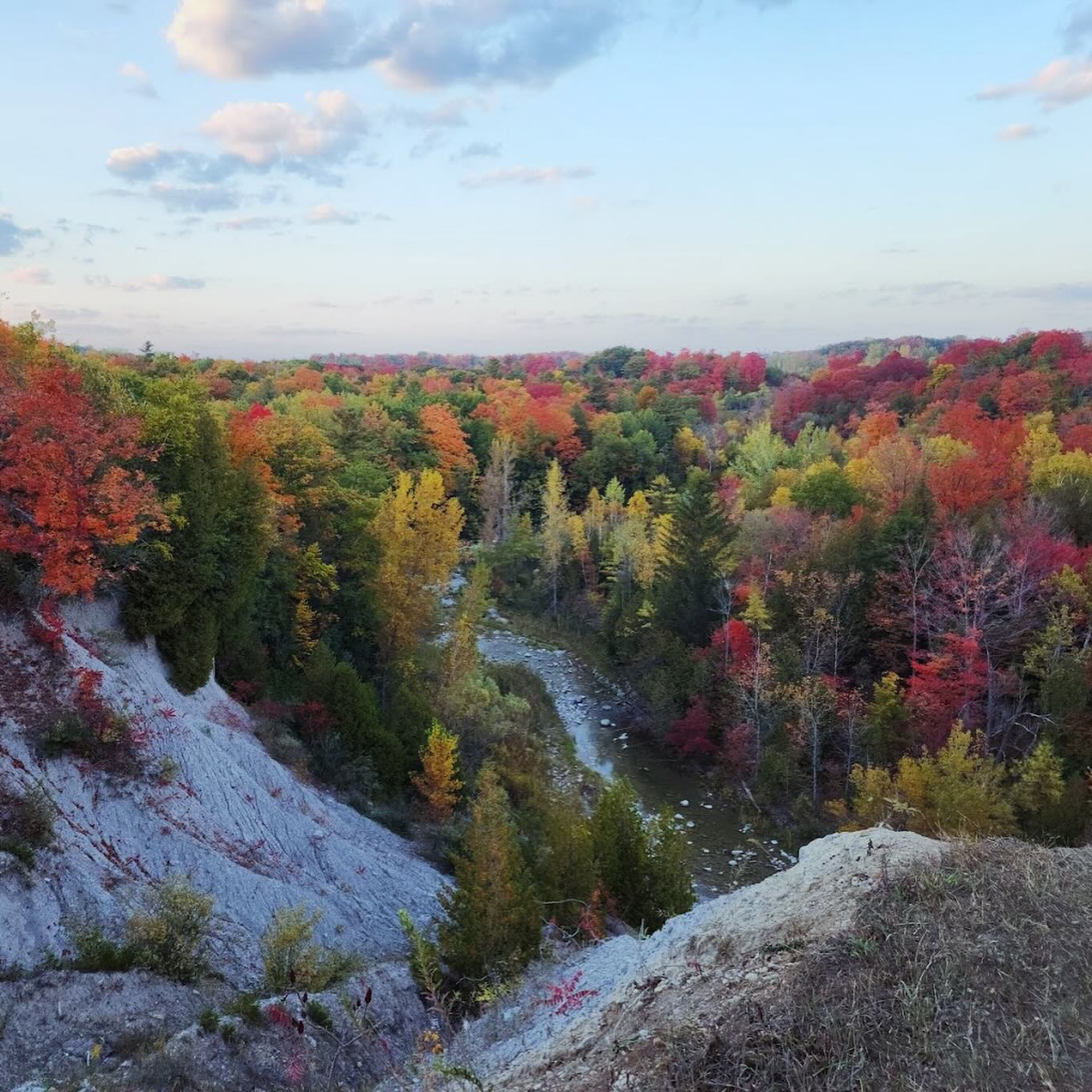20+ Best Parks in Toronto (Ontario) • HUNGRY 416
