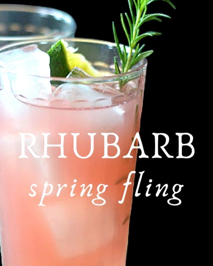 Rhubarb Spring Fling Cocktail Recipe • HUNGRY 416